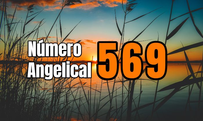Número angelical 569 (mensaje espiritual y simbolismos) - Angeles siempre